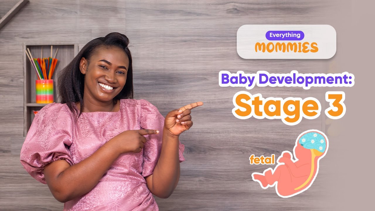 Fetal Development | Stage 3 - YouTube