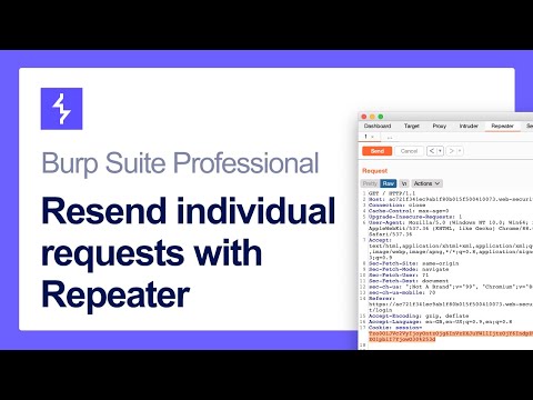 How to resend individual requests with Burp Repeater