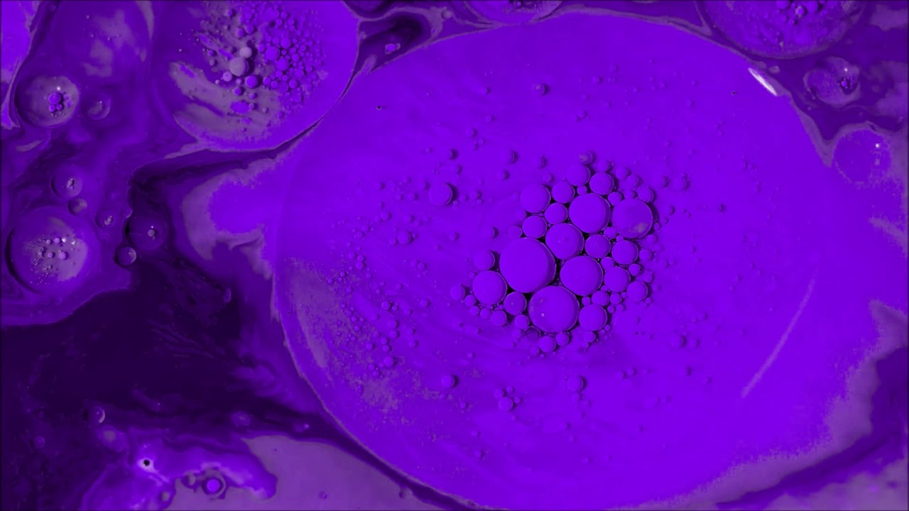 Perception - Sundance and the Cryptonauts. - YouTube