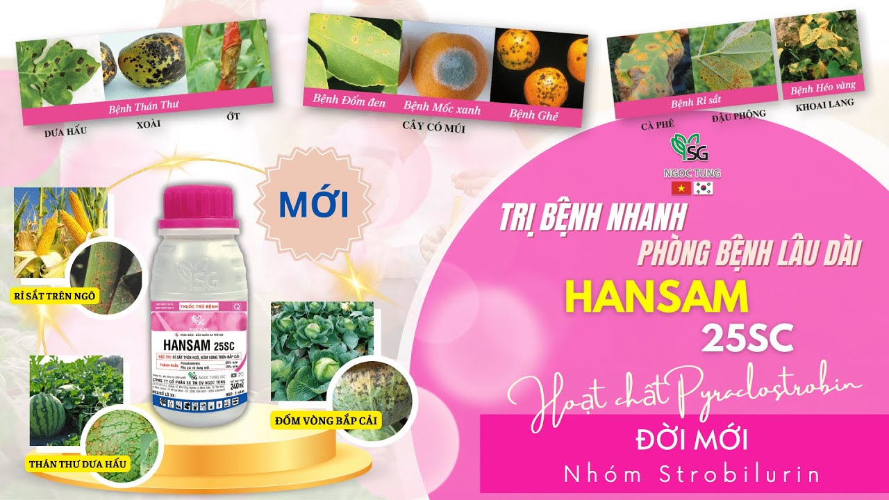 Công ty Ngọc Tùng ra mắt sản phẩm mới: HANSAM 25SC-TRỊ BỆNH NHANH ...