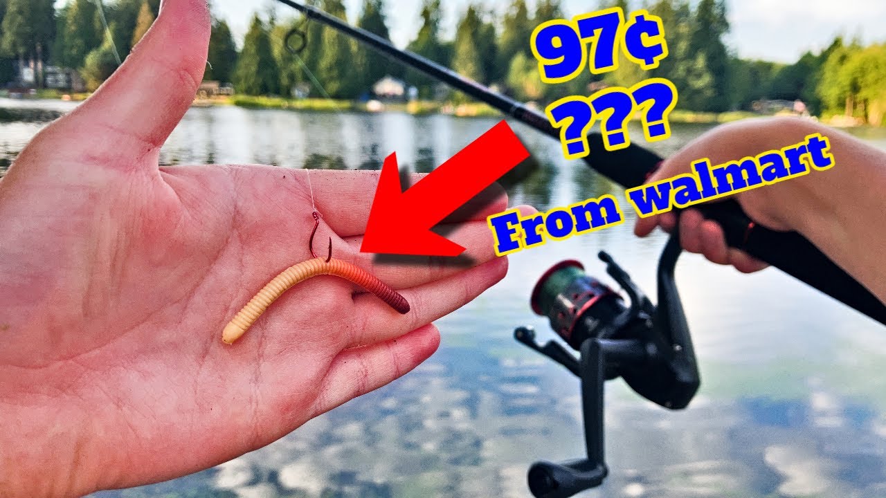 Fishing with a 97-Cent Lure!!! (Walmart’s Secret Weapon???) - YouTube
