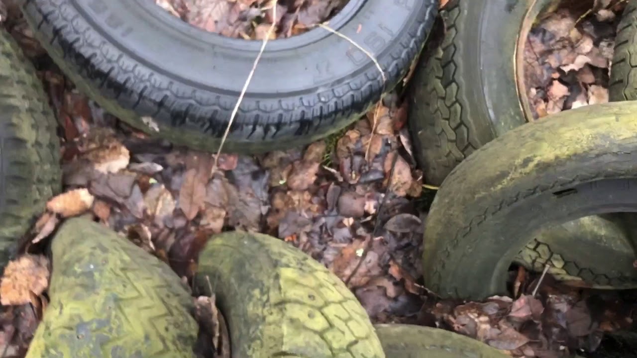 Trashar en skrotad bil - YouTube