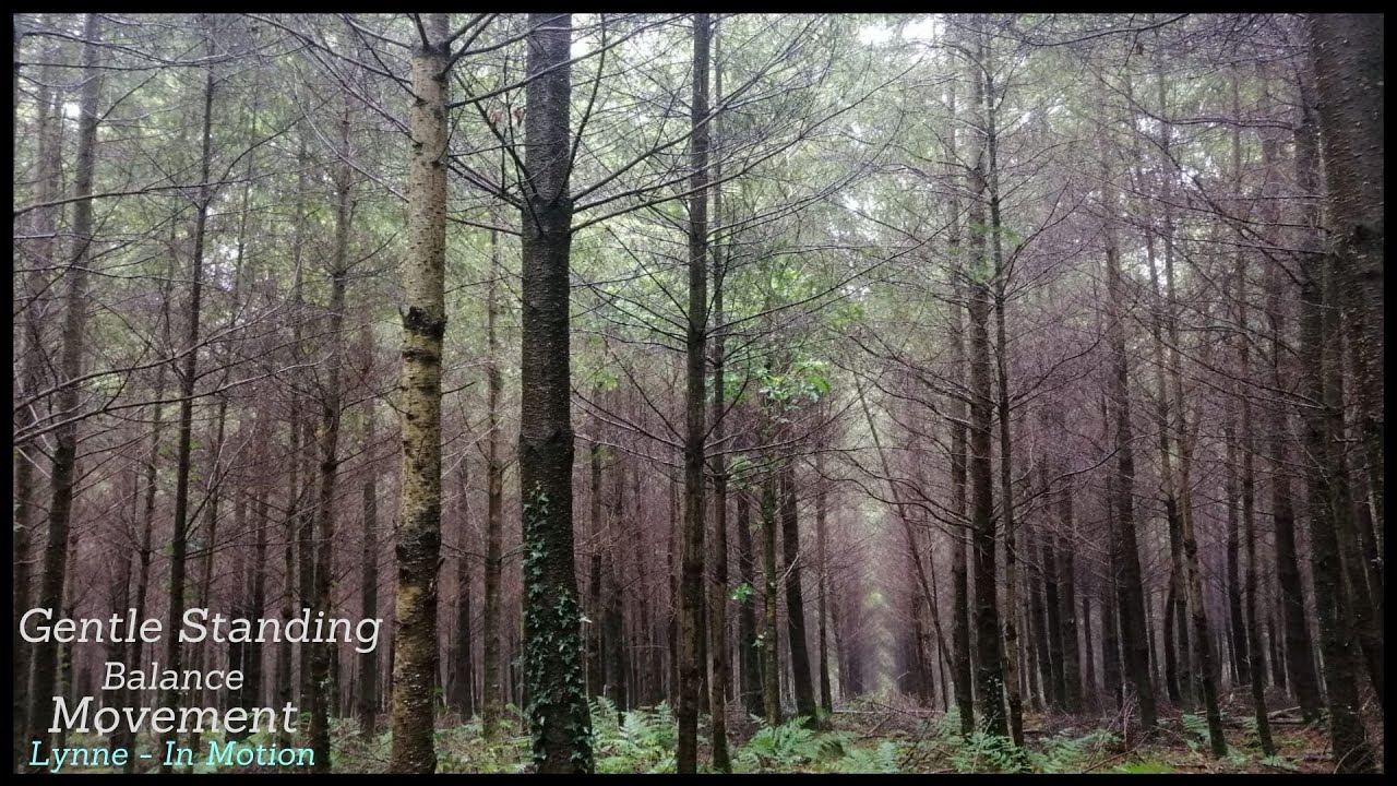 Gentle Standing Balance Movement - YouTube