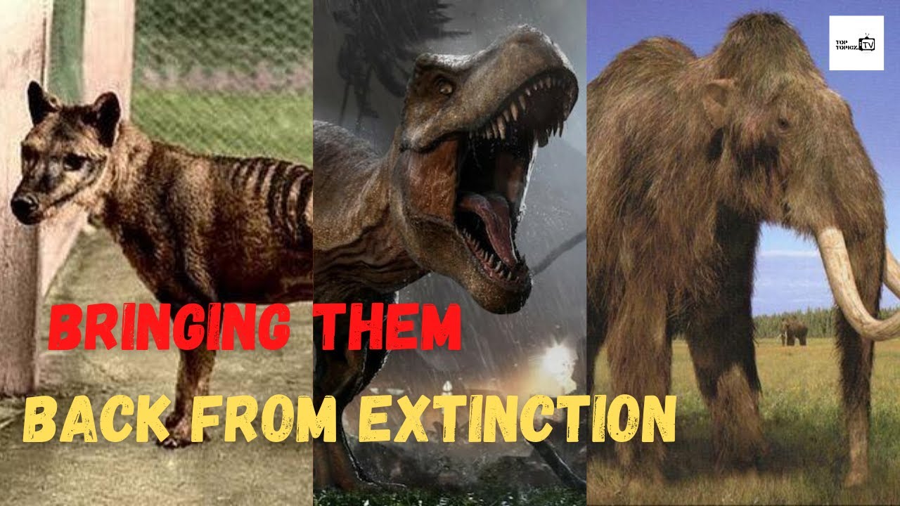 15 Extinct Animals Scientists Are Ready to Bring Back - YouTube