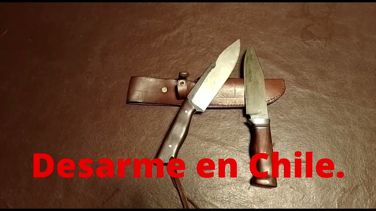 Desarme en Chile, informe. - YouTube