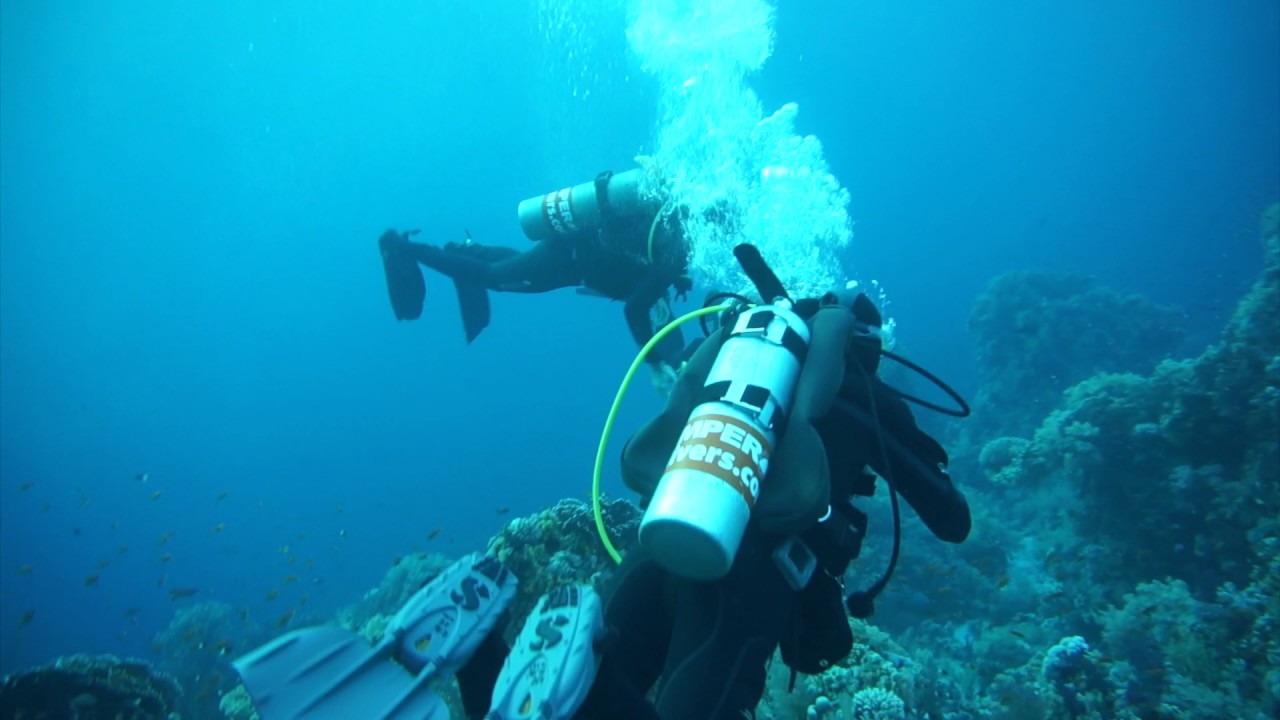 Diving Ras Mohammed, 2nd January 2017 - YouTube