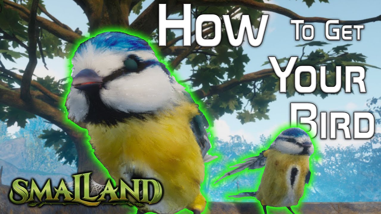 Smalland | How to get your Bird | - YouTube