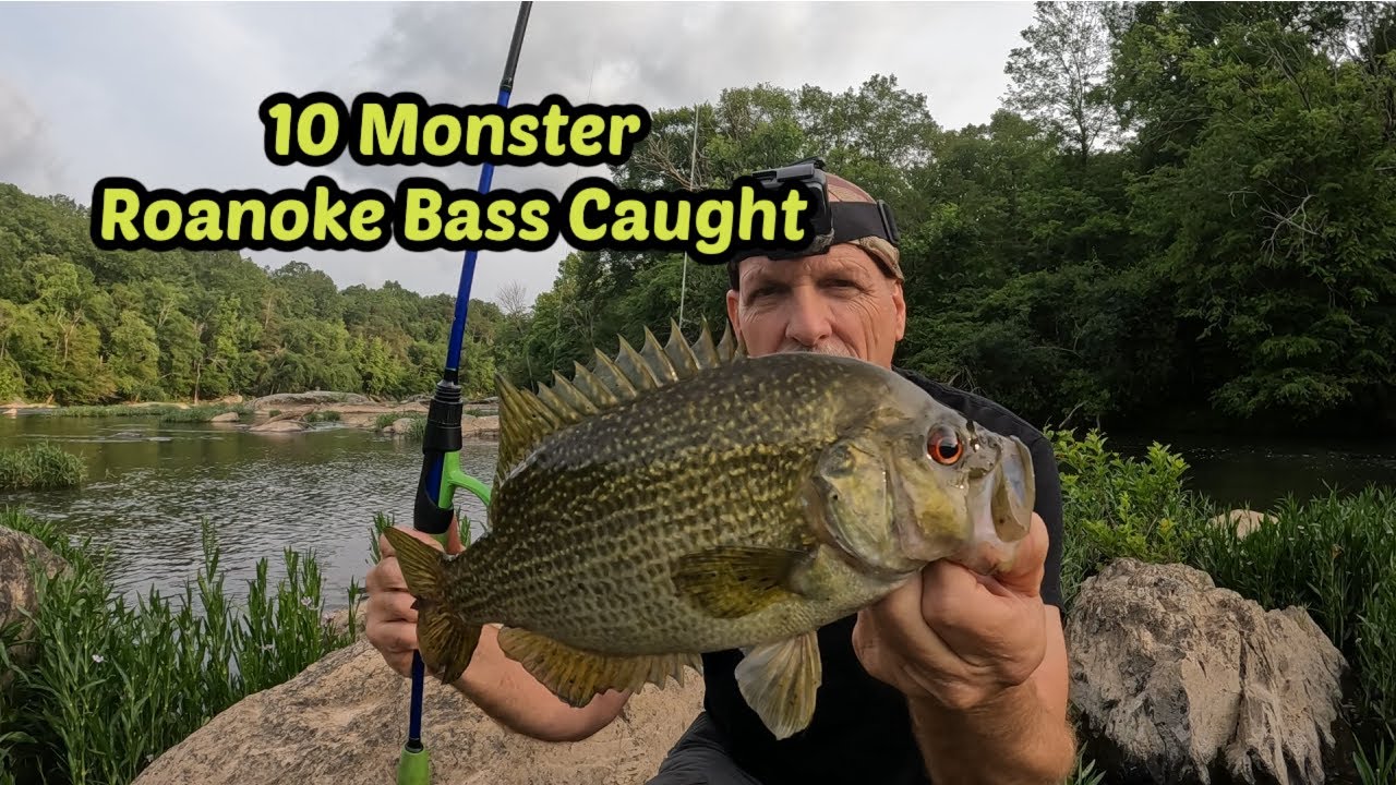 Roanoke Bass Jason White & Charles Weathersbee Win East Roanoke River,
