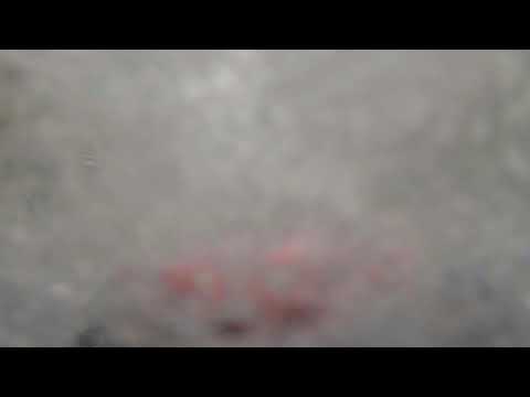 Losi Baja Rey : Snow Run 01 - Dumont Paddle Tires (360 Vid)