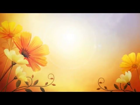 Xanim Zeyneb Haqqinda Iqbal Huseynov