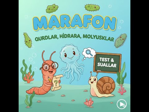 Zoologiya Marafonu  (İbtidailer Qurdlar Bugumayaqlilar Molyuskalar Bagirsaqbosluqlular)