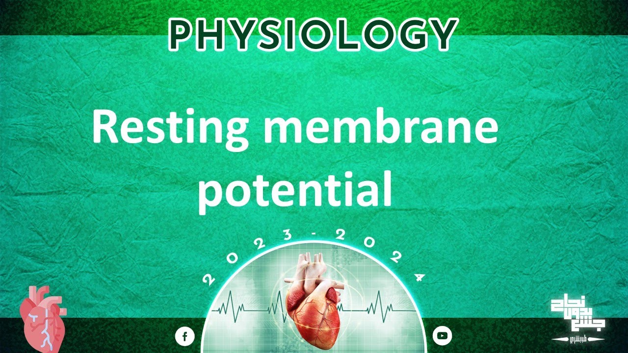 Revision of L11 , Resting membrane potential, Physiology - YouTube