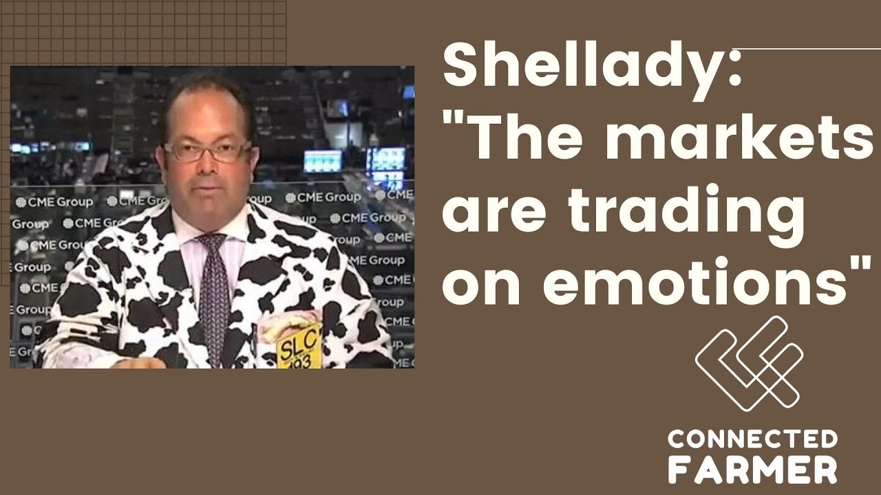 Scott "Cow Guy" Shellady: "The Markets Are Trading on Emotions" - YouTube