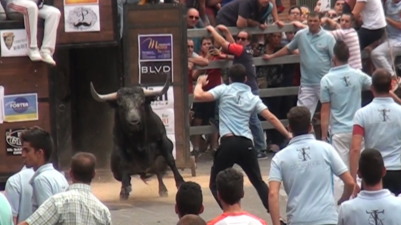 Toro Feria 2015 por YoTaurino.net - YouTube