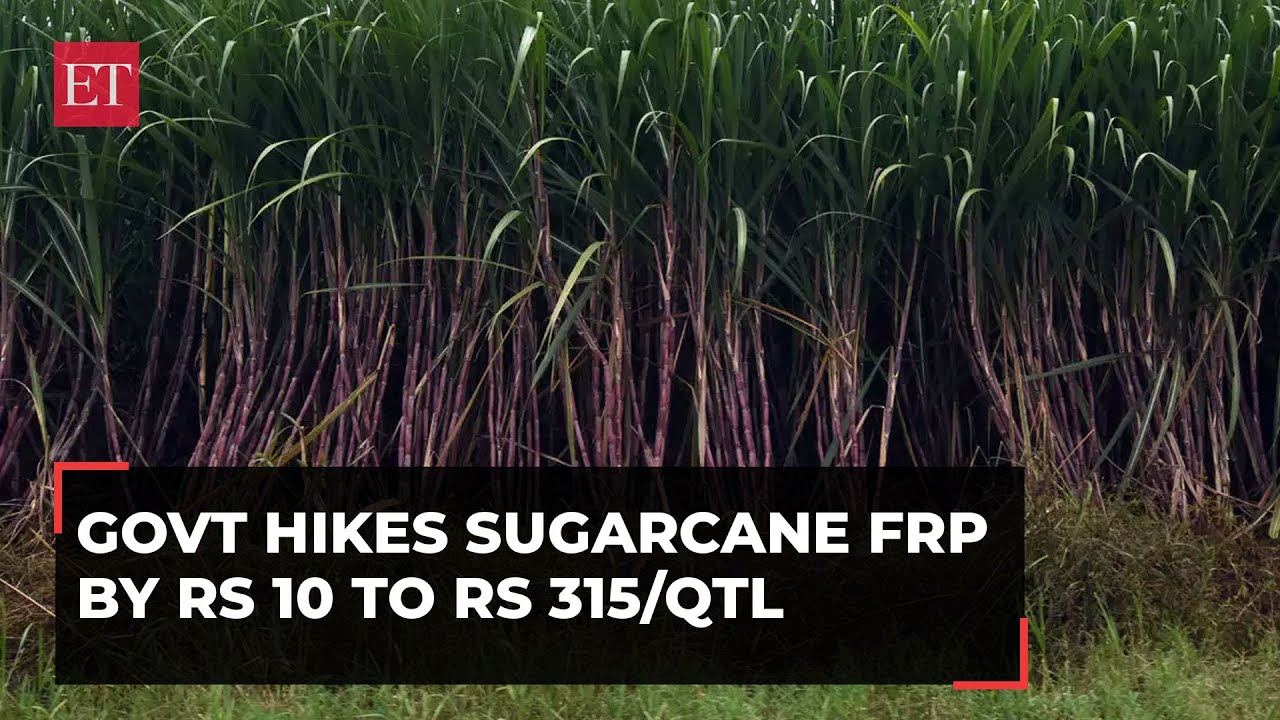 Modi cabinet hikes sugarcane FRP by Rs 10 to Rs 315/quintal for 2023-24 ...