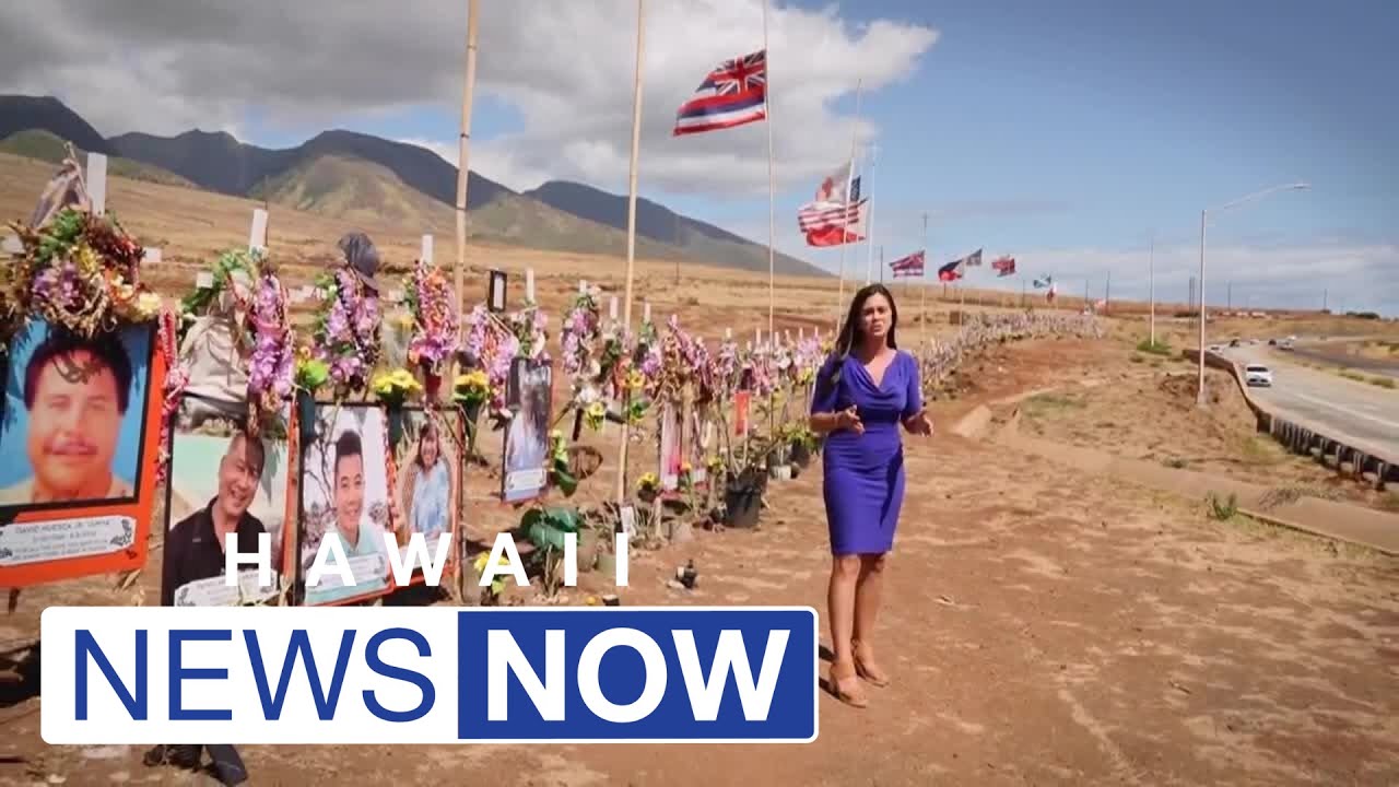 A tribute to the 102 lives that were lost during last year's Maui ...