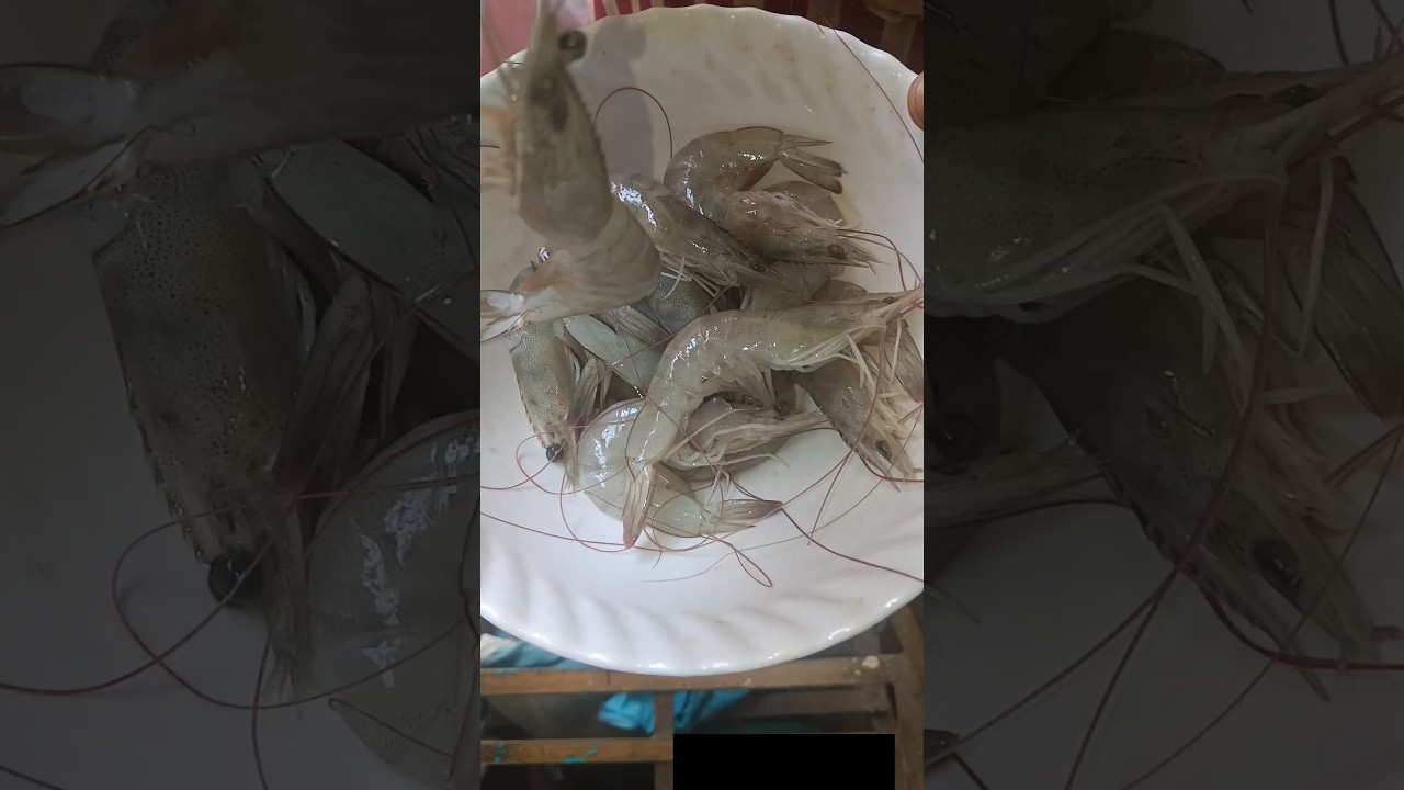Chingdi Macher Kalia || Bengali - Prawn Fish Curry|| #amazing # ...