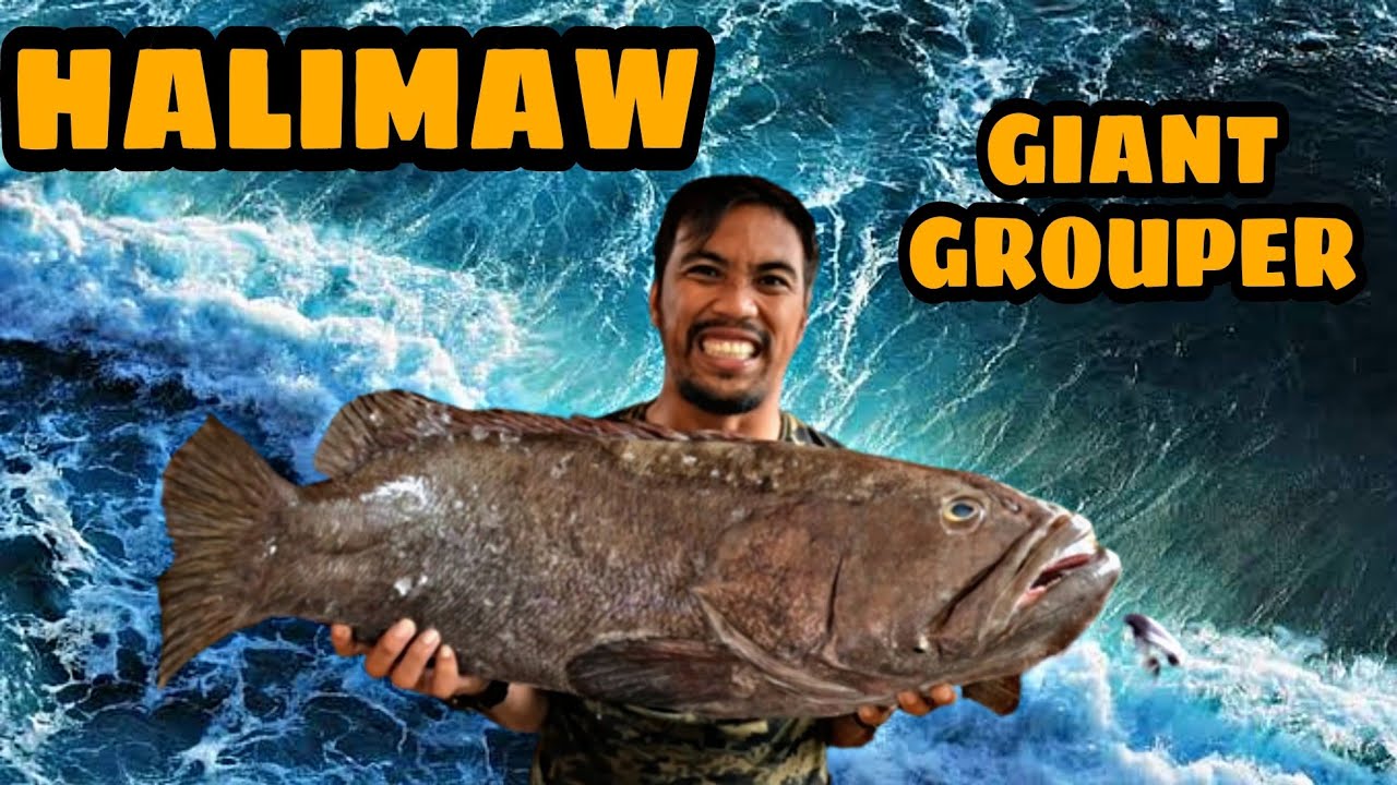 DALA NG BAGYO | DAMBUHALA - YouTube