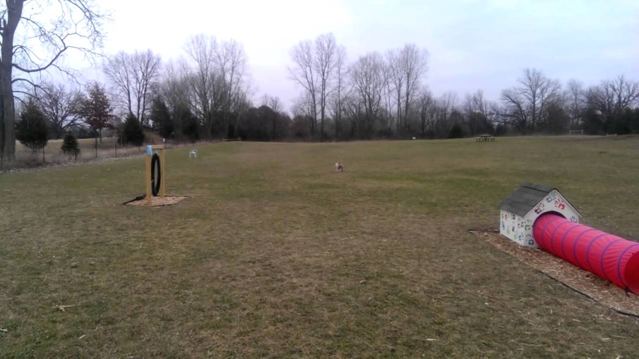 Benson the Butler - YouTube