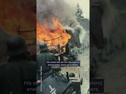 Imagine being 15 — and instead of holding a pen, you have to fight the Nazis #dwhistoryandculture