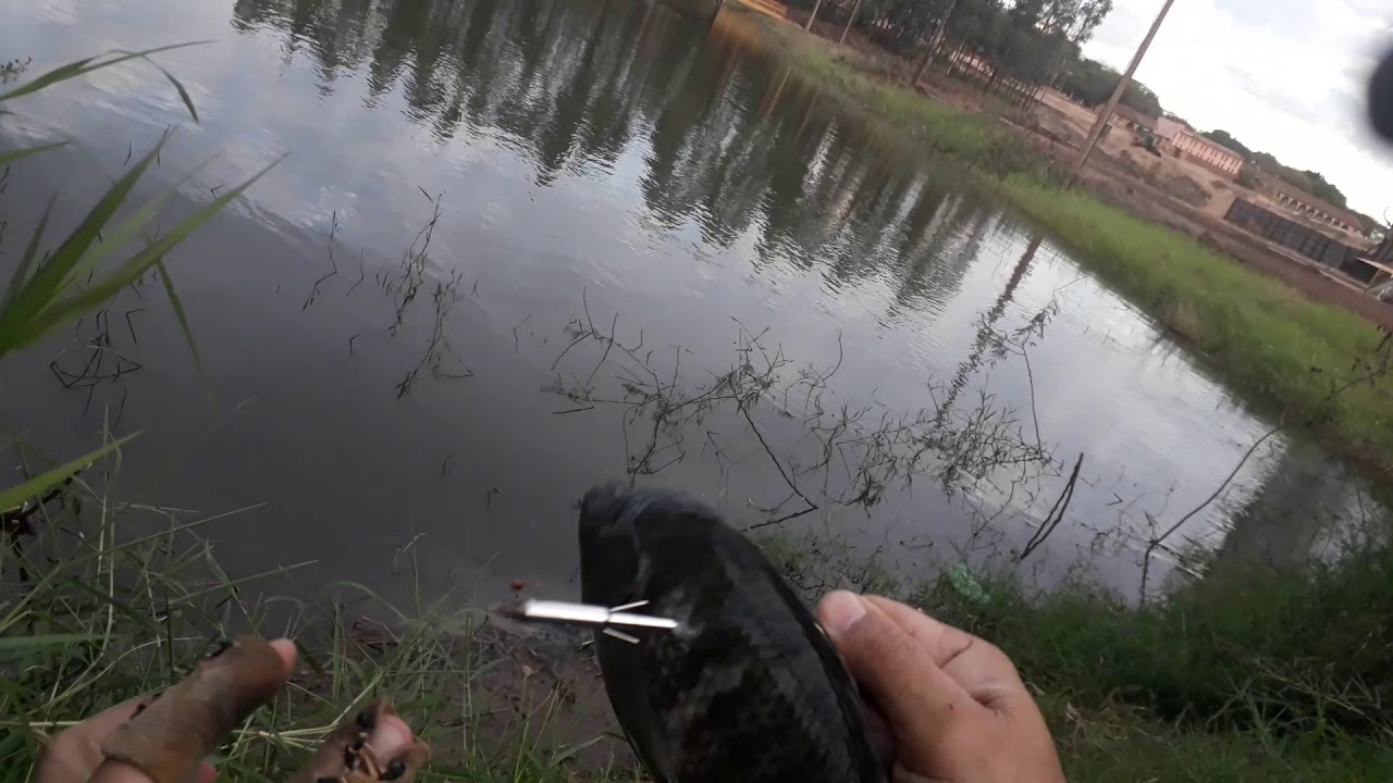 Pesca moderna - YouTube