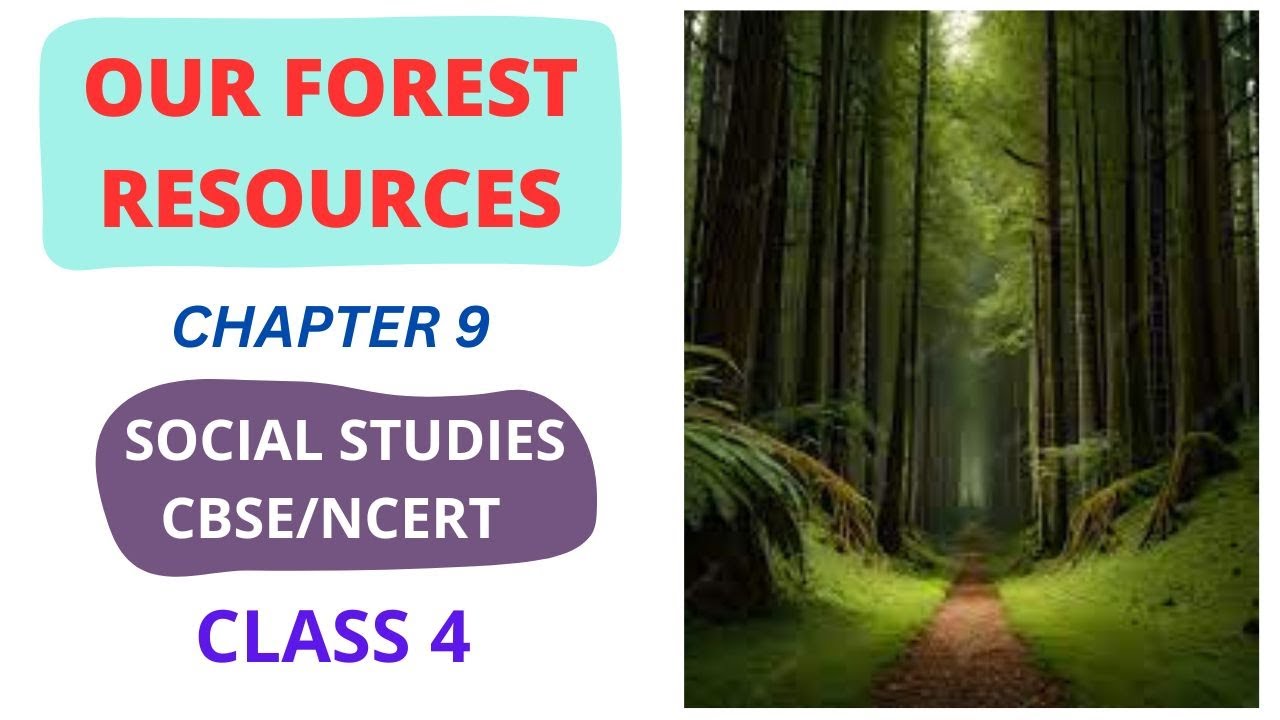 Chapter 9 - Our Forest Resources | Class 4 SST | SOCIAL STUDIES CBSE ...