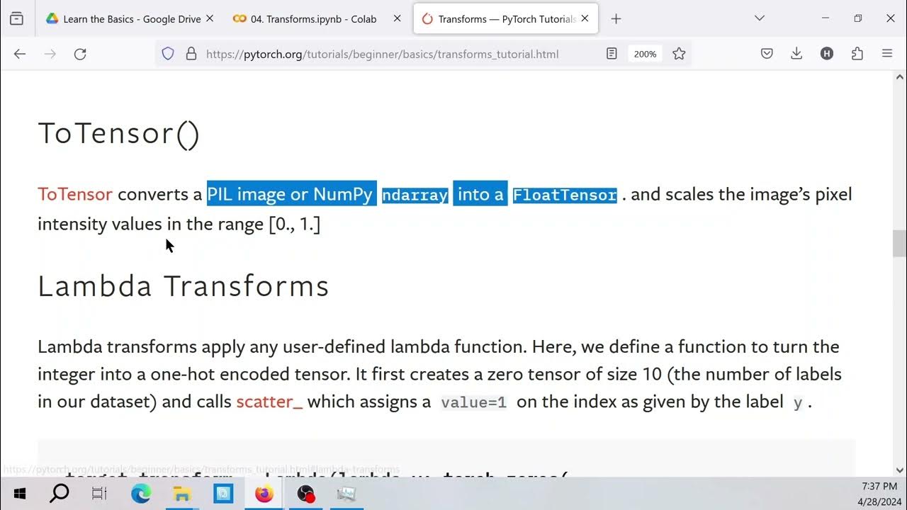 PyTorch bài 4: Transforms, Learn the Basics - YouTube