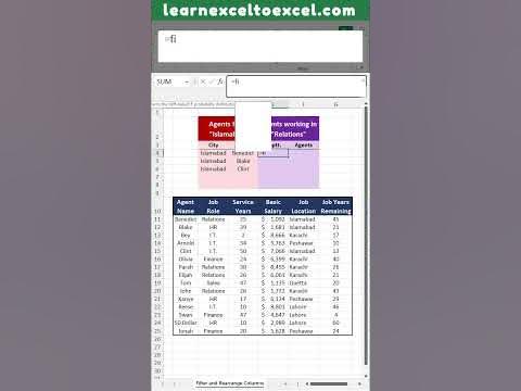 Excel Pro Trick: Filter and Rearrange Non Adjacent Columns with FILTER Function in Excel Formula ...