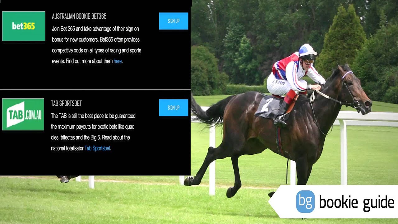 Australian Bookmakers - What you need to know - YouTube