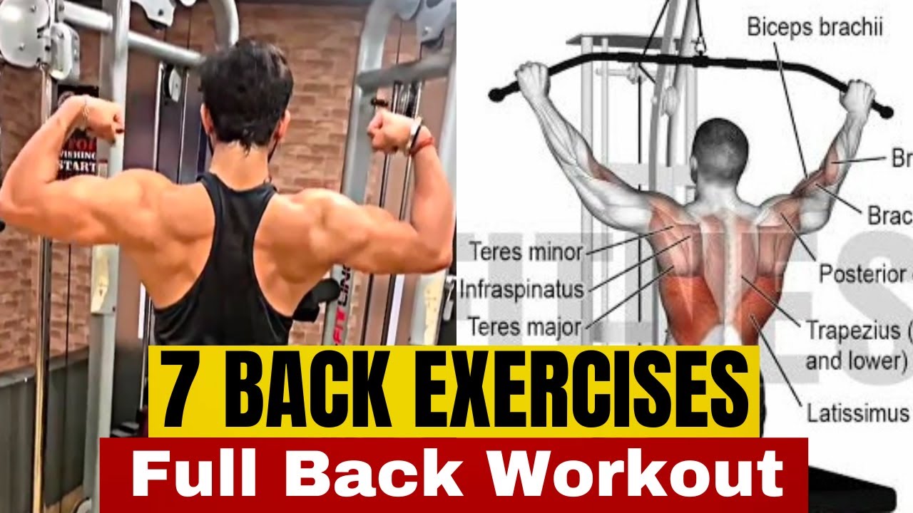 Back Workout at Gym || Top Back Exercises | Gym Full Back Workout ...