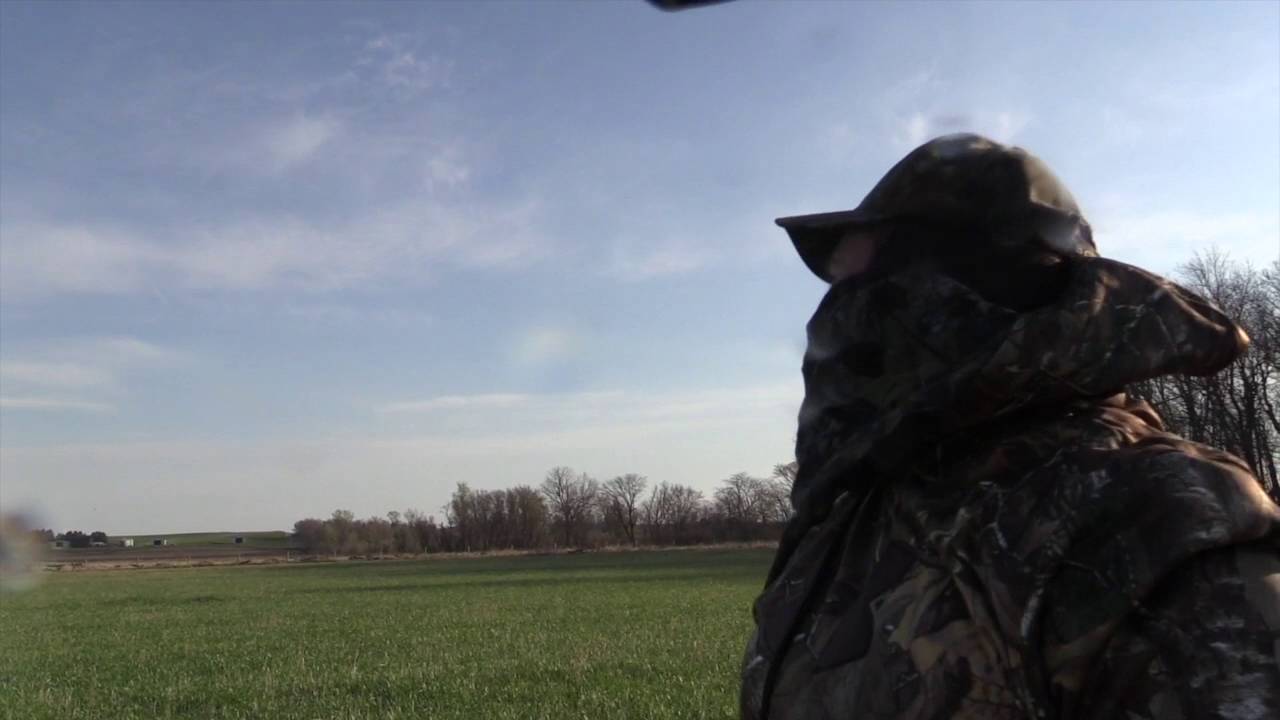 Best Ever Turkey Reaping Compilation - YouTube