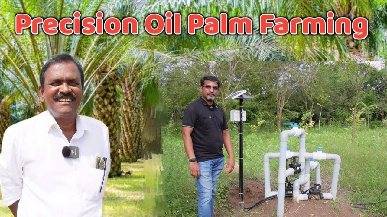 Precision Oil Palm Farming | Farm Again | Gro Tron | Precision Farming ...