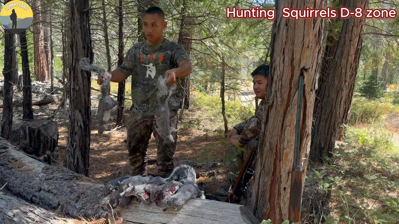 Hunting Squirrels D-8 zone - YouTube