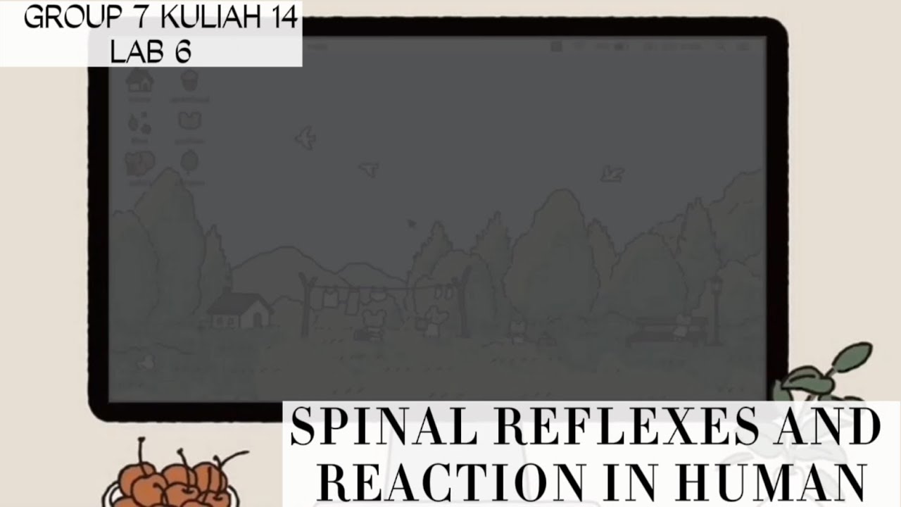 GROUP 7 KULIAH 14 LAB 6: SPINAL REFLEXES AND REACTION IN HUMAN - YouTube