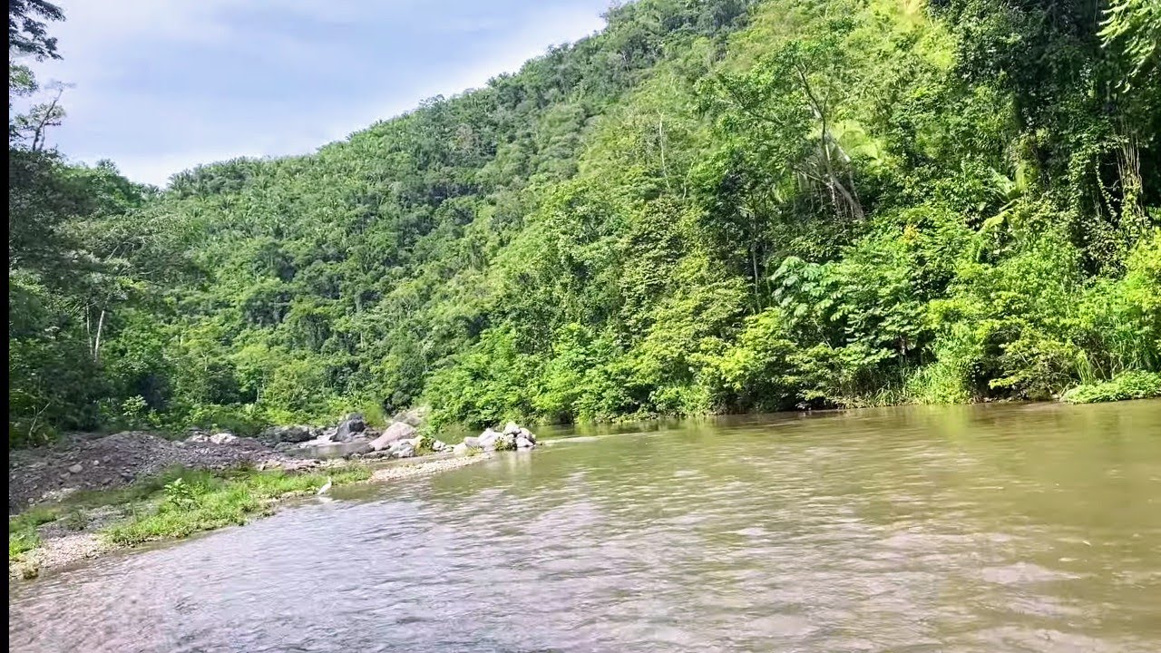 Sector Montaña Tocoa Colon Honduras..🇭🇳🇭🇳 - YouTube