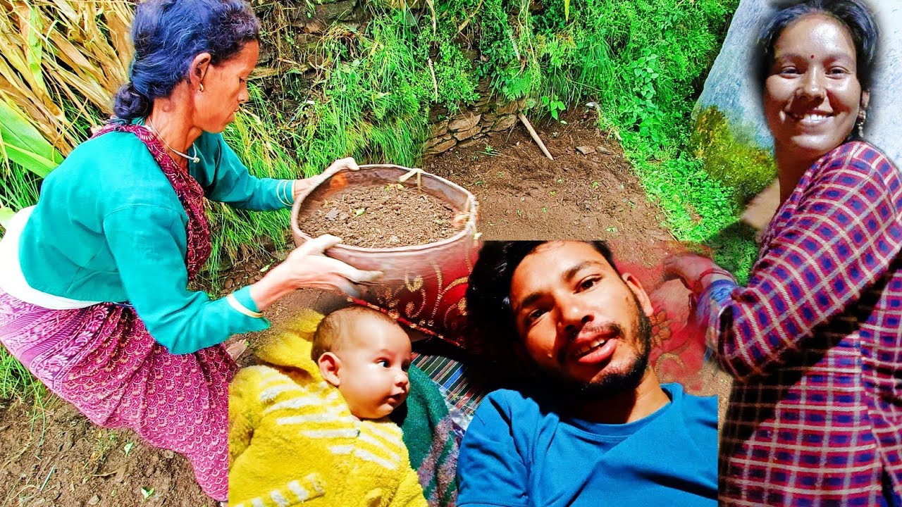 uttarakhand village life/आज तो प्याज की क्यारी बनाने में आफत आगई 🥵🥵🥵/# ...