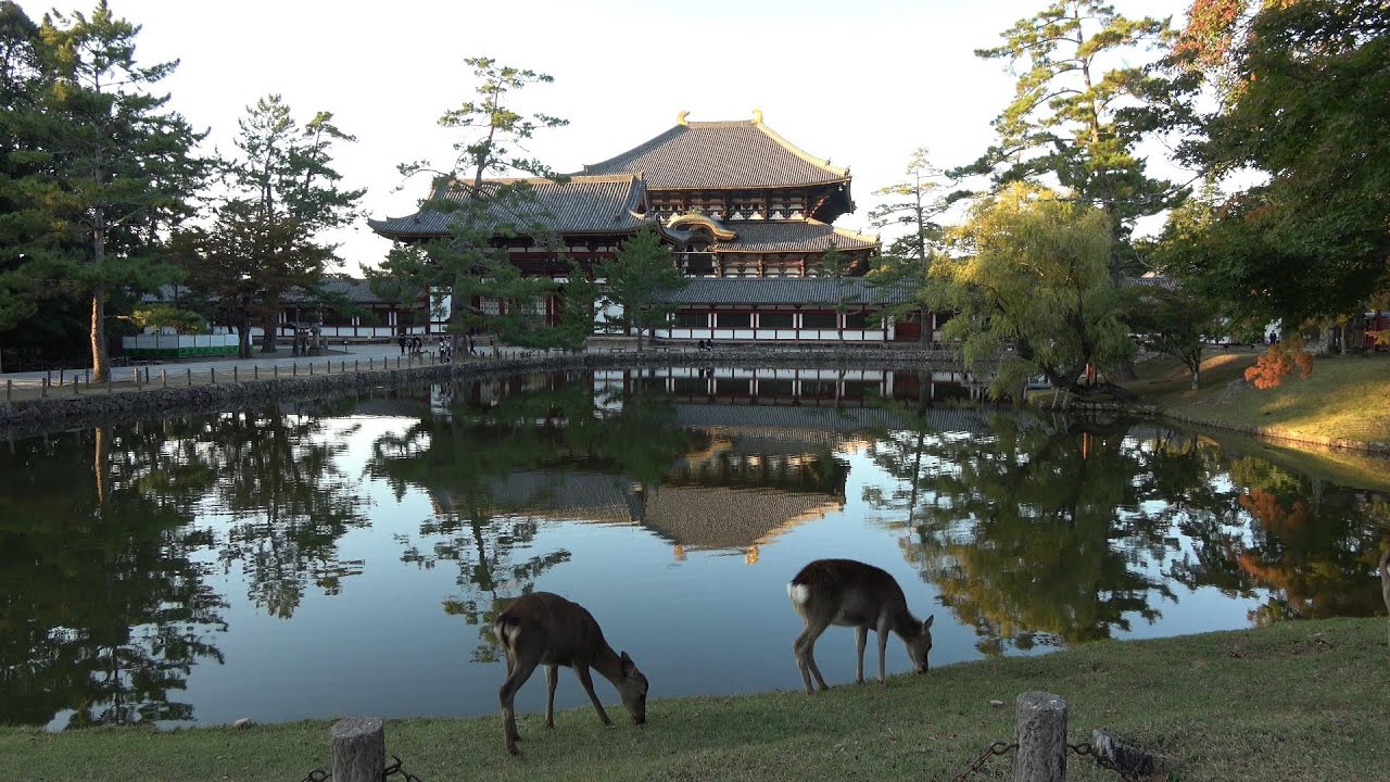 【4K】奈良 Nara, Japan (2022) - YouTube