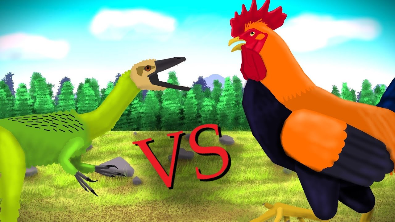 Compsognathus VS Rooster - Dinosaur Fight Animation 2D / Pivot Animator ...