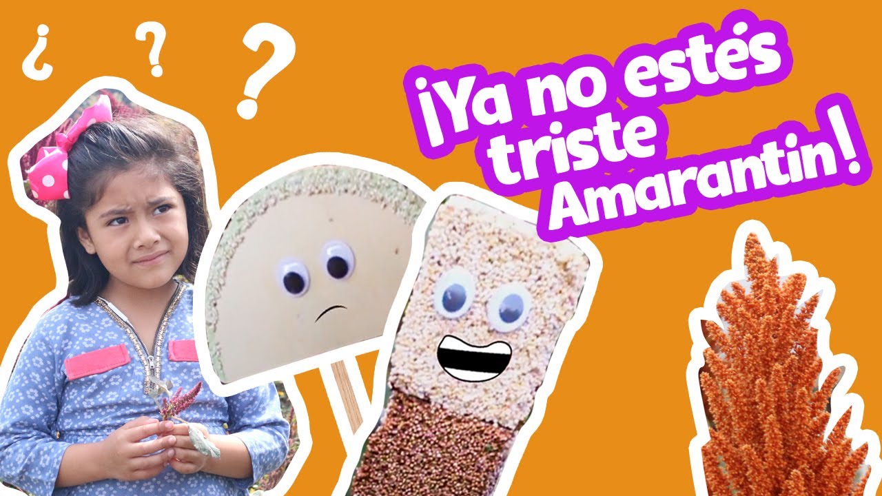 ¡Sopita de amaranto! ¿Por qué Amarantín está triste? 😱 - YouTube
