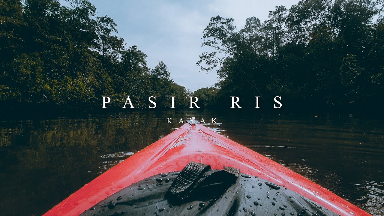 Kayaking Through Pasir Ris Mangrove Swamp - YouTube