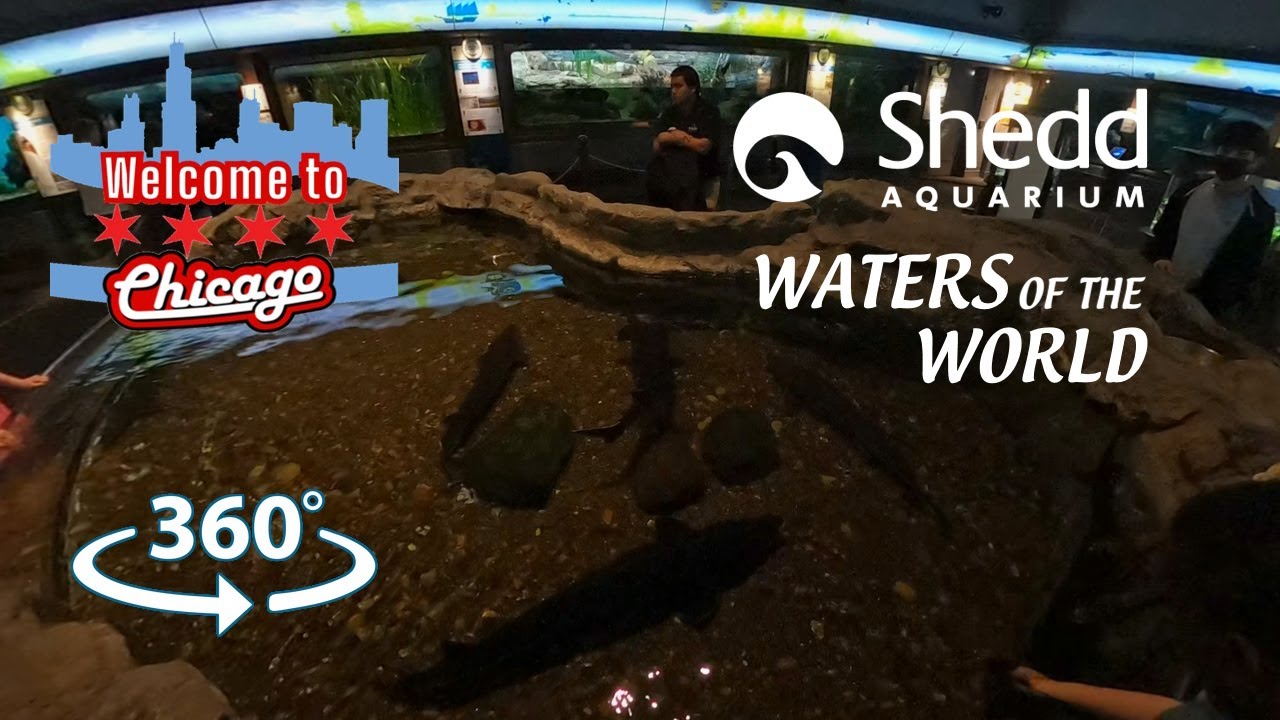 Chicago: Shedd Aquarium - Waters of the World Exhibits (Main Level ...