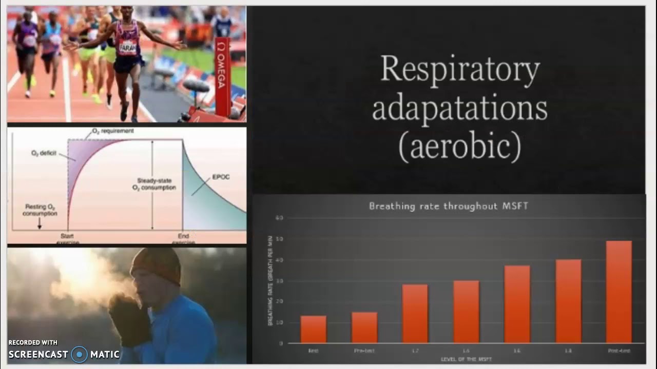 aerobic adaptations 2.4 - YouTube