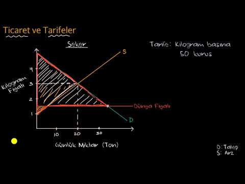 Ticaret ve Gümrük Vergisi (Mikroekonomi)