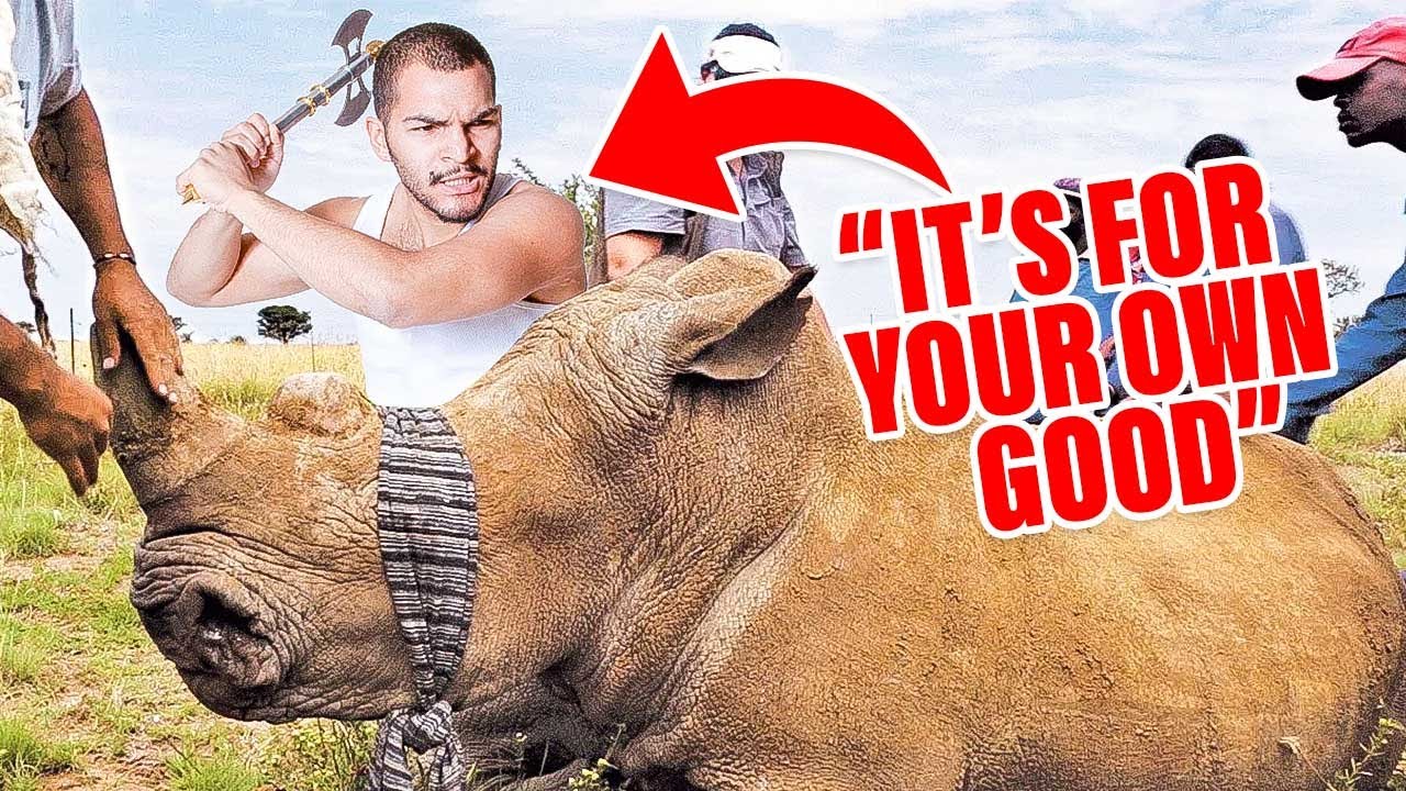 Rhinos MUST Have Their Horns Cut Off.. Here's Why! - YouTube