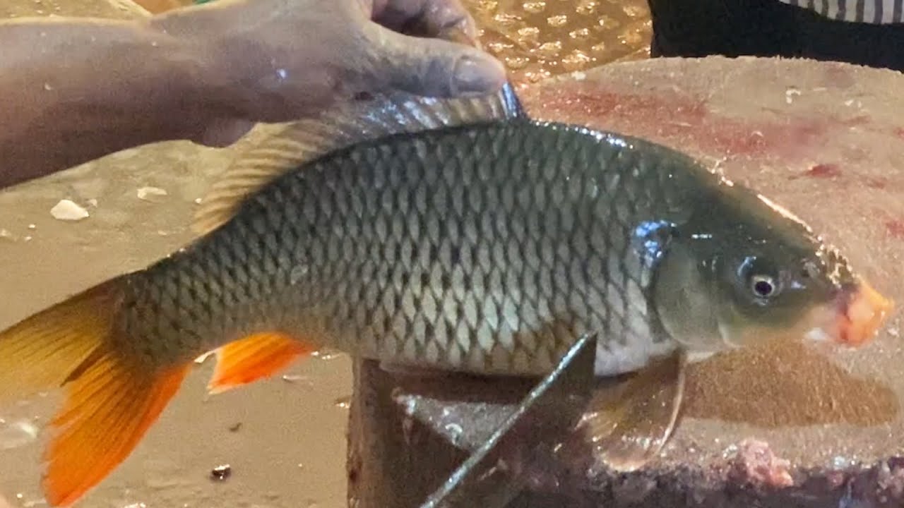Small Carp Fish Cutting Live In Bangladesh Fish Market | Amazing Fish ...