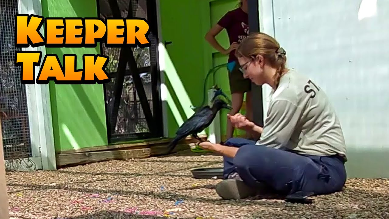 Training Day with Kayla & Amanda | Keeper Talk - YouTube