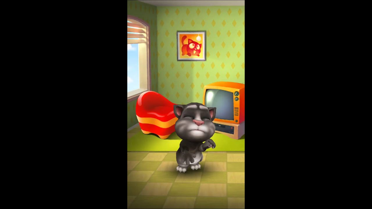 [My Talking Tom] Test test test test - YouTube