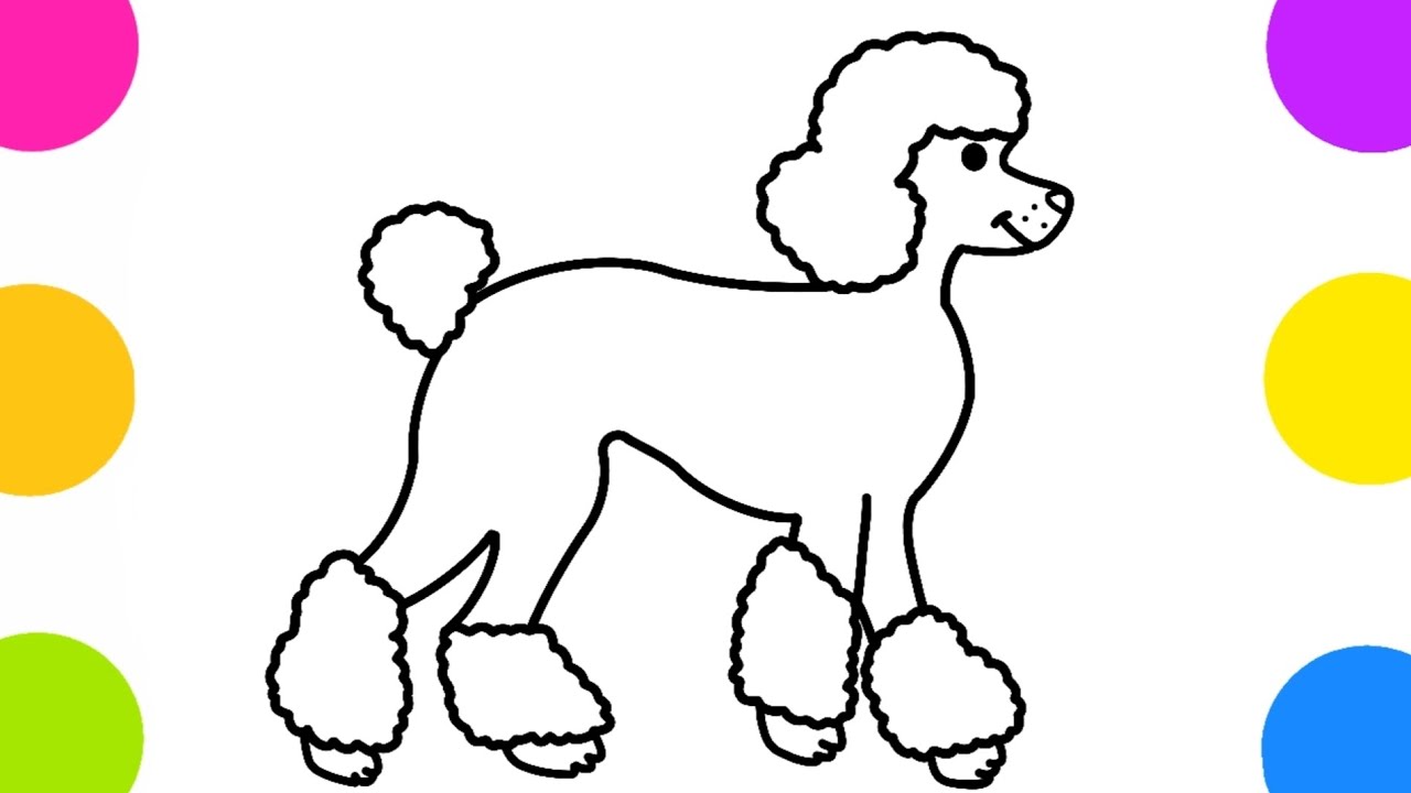 how to draw a poodle - Drawing a dog for kids - YouTube