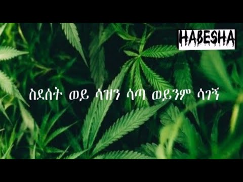 Pamfalon-beka Inifata 420 (Lyrics vidos ) New Ethiopian Music 2019 ...
