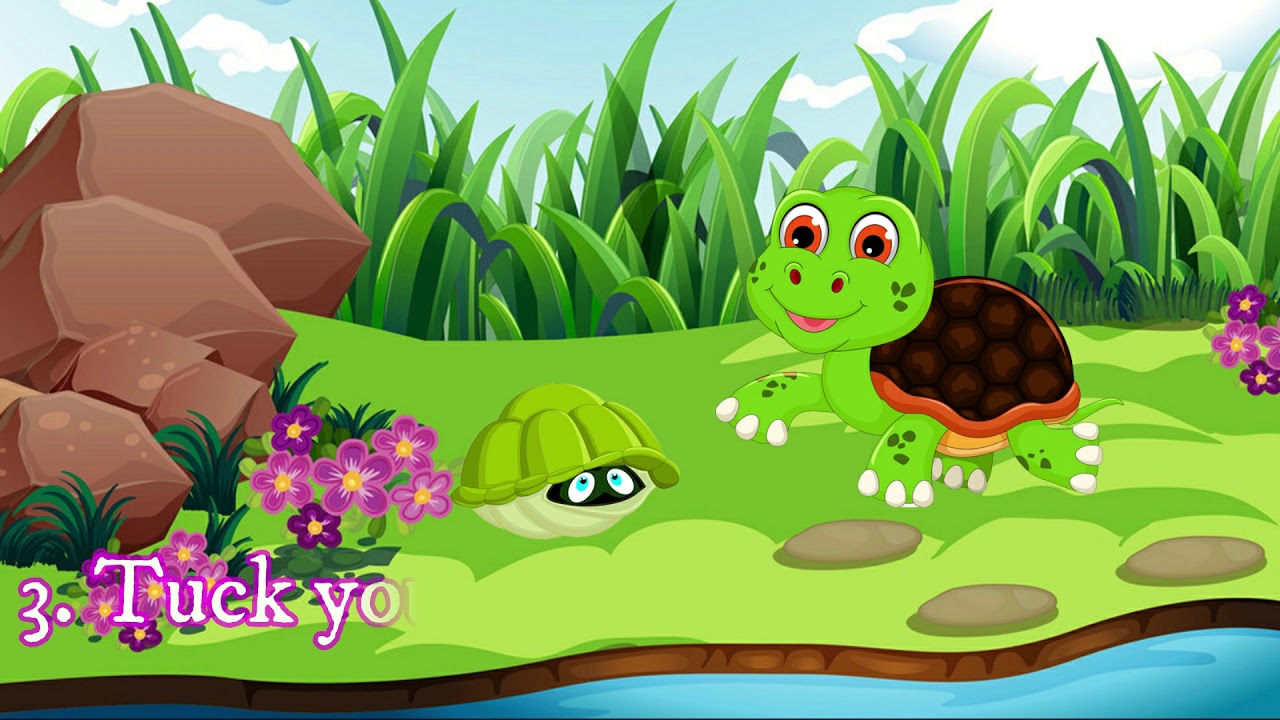 TOTO TURTLE TAKES TIME TO TUCK AND THINK - YouTube